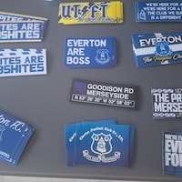 100 X Brighton & Hove Albion Stickers - Based on Poster Shirt Scarf Pin ...