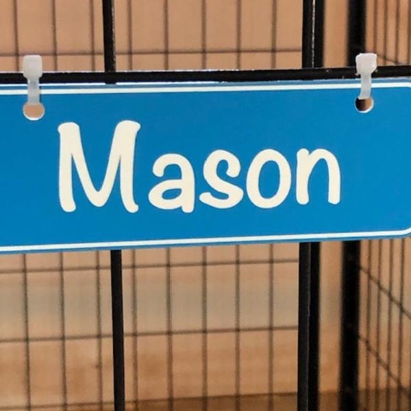 Personalized Cat Ears Wall Name Plate | Food Station | Feeding Station ...