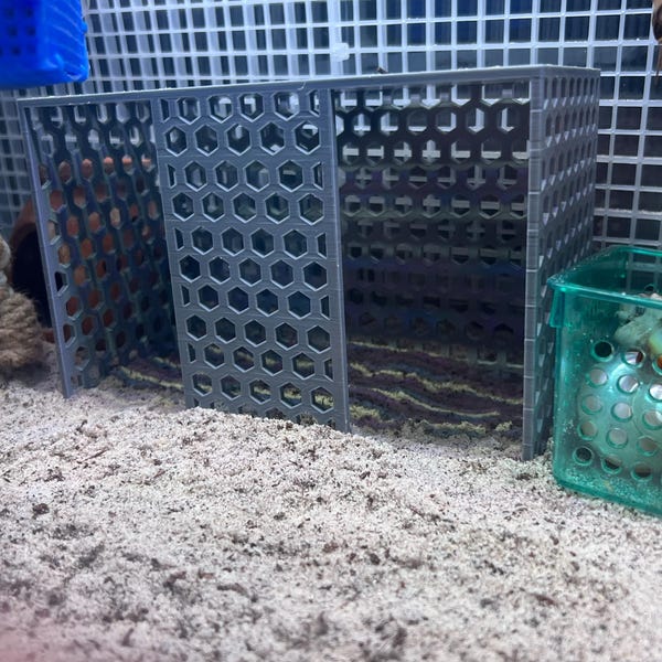 Hermit Crab Climbing Stand, Hermit Crab Hide, Hermit Crab Ornament ...