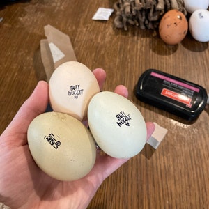 Egg Carton Stickers Funny Chicken Face Fresh Eggs Egg | Etsy