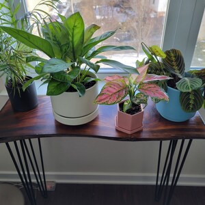 TheVailWorkShop - Etsy