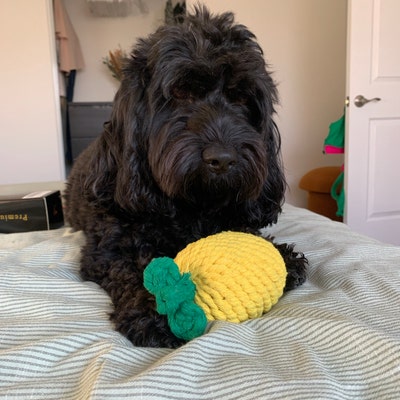 Black Spider Dog Rope Toy, Handmade Sustainable Dog Rope Toys, Toys for ...