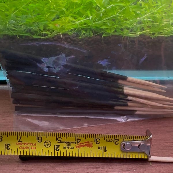 5 Indian Almond Leaves Nano, 5 Filao Cones & 10 Alder Cones Package for ...