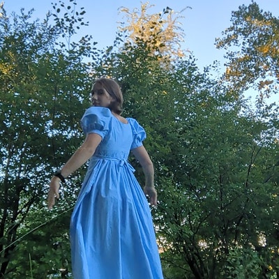 140 Ladies' Princess Line Tea Gown With Watteau Pleat - Etsy