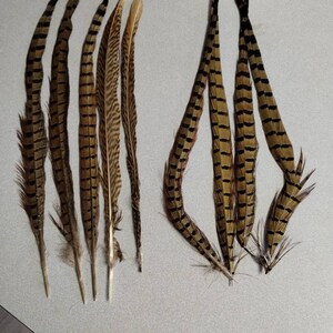 DIY Trimmed Bicorne Hat Making Tutorial DIY Bicorne - Etsy