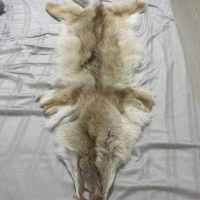 Dyed Tan Color Fur Fox Skins/pelts, Fur Garments - Etsy