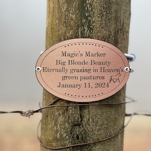 Original Tree Tag Hugger Engraved Tree Safe Memorial Plaque official ...