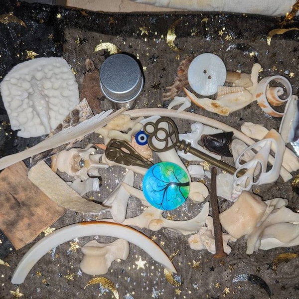 Osteomancy Bone Throwing Set With Over 25 Pieces - Etsy