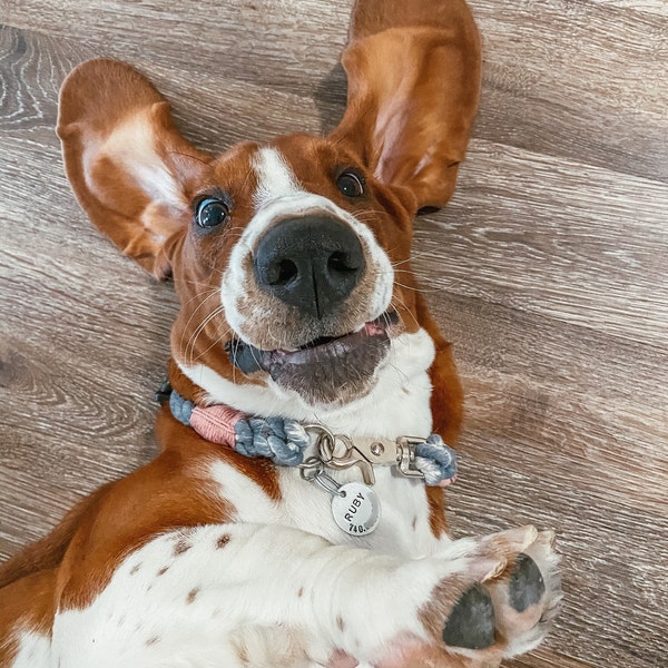 Seaside Blue Natural Cotton Rope Dog Collar - Nautical Dog Collar ...