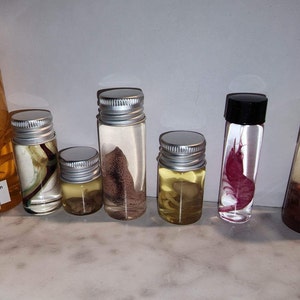 My Heart is Yours Pendant Real Rat Heart in a Glass Vial - Etsy