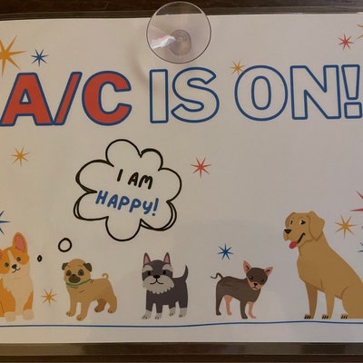 Personalized Car Rider Windshield Sign With Suction Cup - Etsy