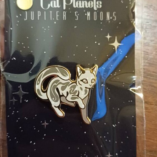 Jupiter's Moons Cat Planet Pins 1 Mini Space Cat Enamel Pins - Etsy