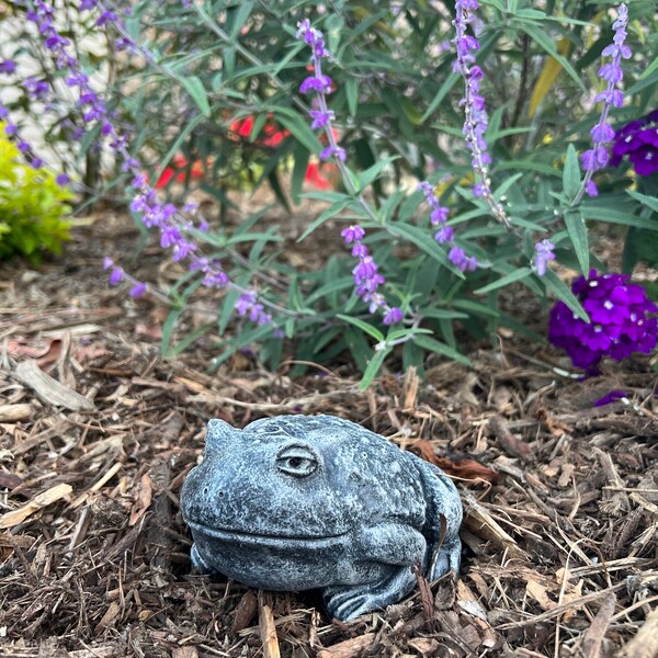 Chilled and Relaxed Toad Concrete Statue - Free Shipping - Home or ...