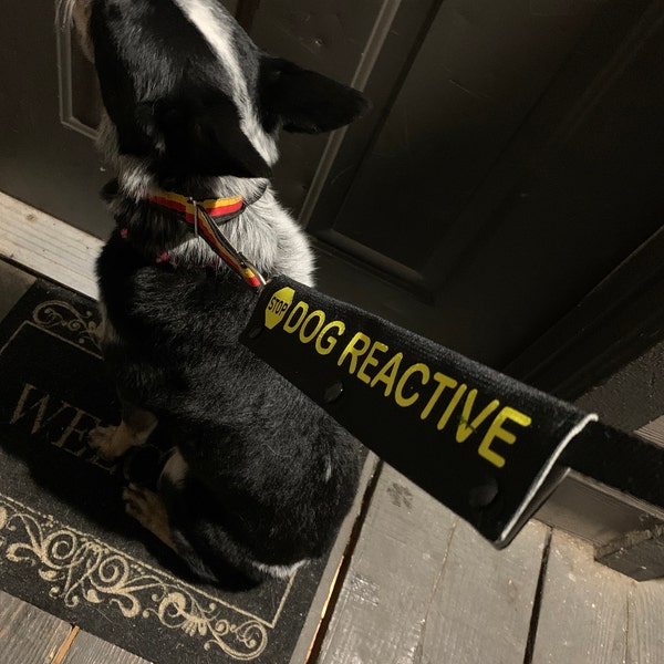Dog Leash Sleeve, DO NOT PET Leash Wrap, Stop Do Not Pet | Canvas Wrap ...