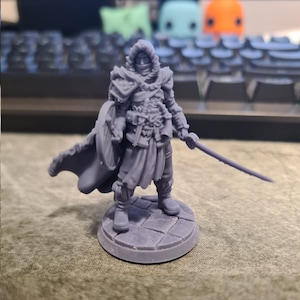 Giff Captain Miniature Hippo Gunslinger Dungeons and Dragons - Etsy