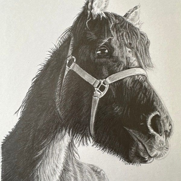100% Hand Drawn Custom Horse Portraits From Your Photos, Multi Horse ...