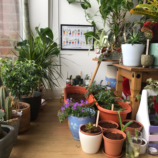 How Not to Kill Twenty Houseplants - Poster A4 / A3 / A2 - Houseplants ...