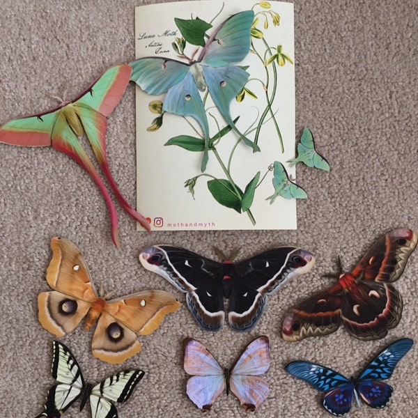 Paper Moth Decorations, Faux Cecropia and Emperor Moth Set, 'autumn ...