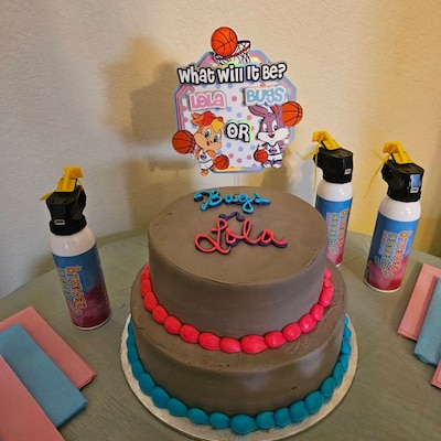 Gender Reveal Cake Topper, Space Jam Cake Topper, Space Jam Gender ...