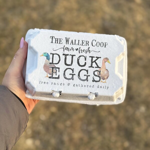 Egg Cartons-vintage Themed Green Printed Full Dozen 12 Cell Egg Cartons ...