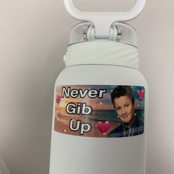Never Gib up | Funny Nostalgic Motivational Meme Gen Z Sticker, Bumper Sticker, Magnet ...