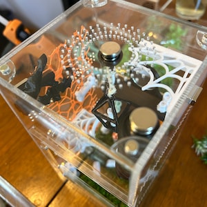 JC Decorated Hexagon Enclosures - Etsy