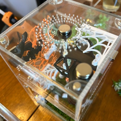 JC Decorated Hexagon Enclosures - Etsy