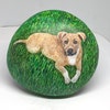 Custom Pet Portrait With Background Painted Rocks From Your Photograph ...