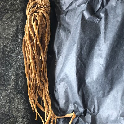 Master Root A Hoodoo Root That is the Master of Them All this is NOT ...