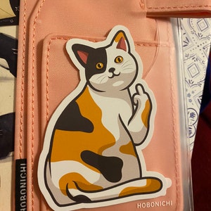 Cat Flipping off Sticker, Funny Meme Sticker, Cat Mom, Cat Sticker ...