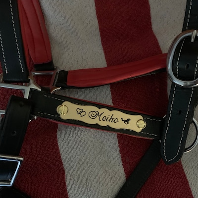 Fancy Engraved 4 Brass Halter Plate, Horse Tack Plate - Etsy