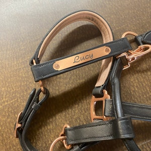 Custom Engraved Silver Tack Bridle Martingale Plate | Etsy