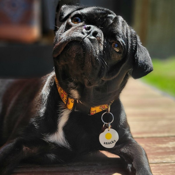 Custom Pet Tag for Dogs and Cats | Personalized Scambled Eggs Pet ID ...