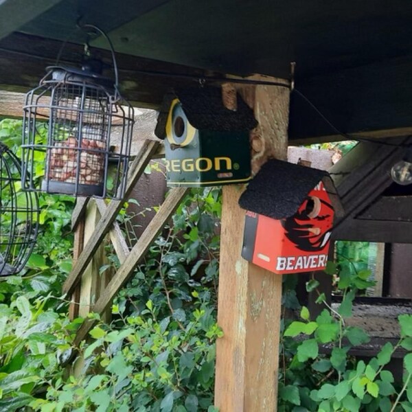 Oregon Ducks......license Plate Birdhouse - Etsy