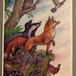 A4 Print 'three Tailed Lotus Fox' - Etsy