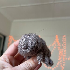 Tardigrade, Water Bear, Water-bear, Moss Piglets. Crochet Pattern It ...