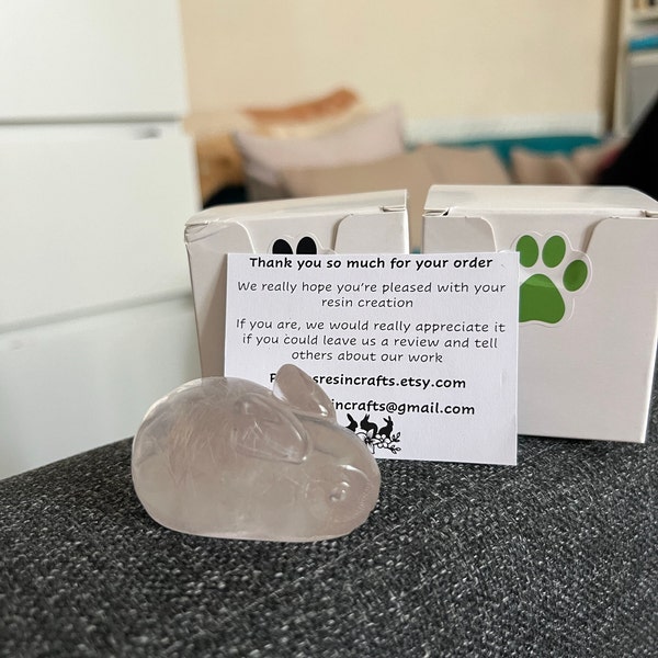 Clear Resin Cast Preserved Cat/dog Fur/ashes Memorial Paw Print ...