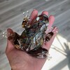 Resin "frog-ception" Frog Decor - Etsy