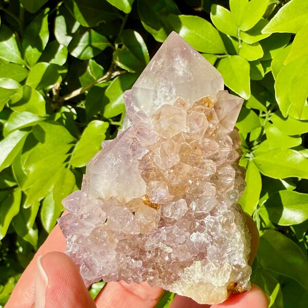 Obi Island Botryoidal Chalcedony With Native Copper Inclusions ...