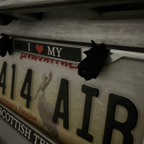 Lady Bug License Plate Screws - Etsy