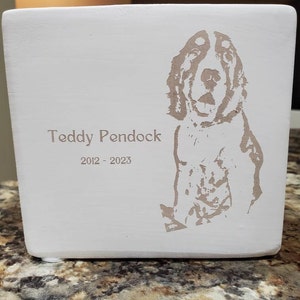 Boho Vintage Cat Tail Woven Plant Stand - Etsy