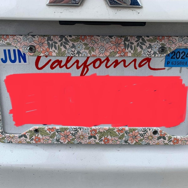 Sweet Tweets License Plate Frame Birds License Plate Birder Car ...