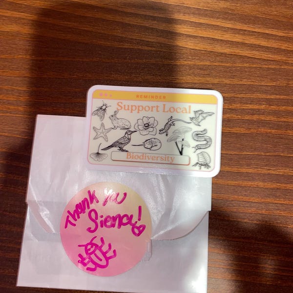 Support Local Biodiversity Environmental Preservation Original Art ...