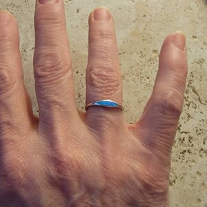 Moon Snail Shell Tanea Lineata 24k Gold Plated Trim Pendant Sea Pendant ...