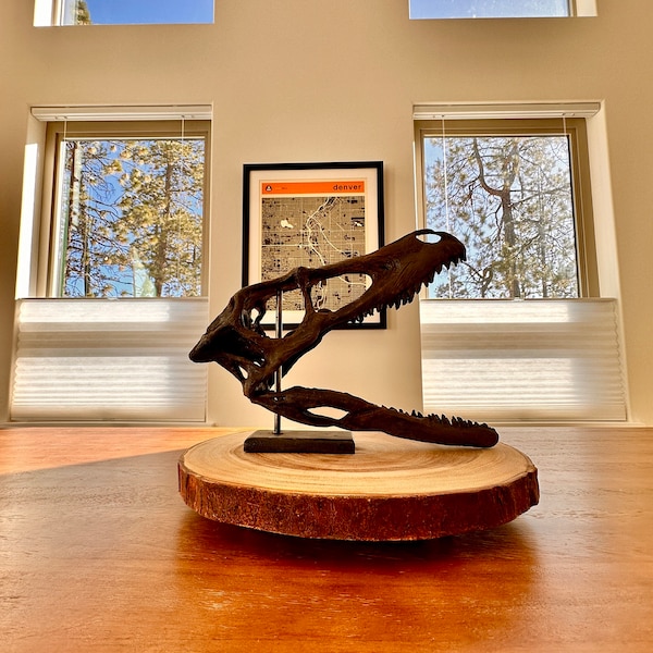 Life Size Utahraptor Skull - Etsy Canada