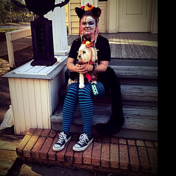 Supernova the Galaxy Cat Supernova the Galaxy Cat Rainbow Anodized ...