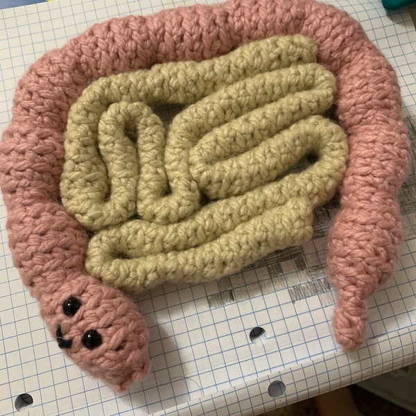 Anatomical Intestines Crochet Pattern! PATTERN ONLY Instant DOWNLOAD ...