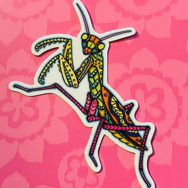 Sticker | Winter Sports | Laptop Sticker | Snowboard Sticker | Flask ...