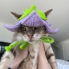 Flower Cat Hat - Etsy