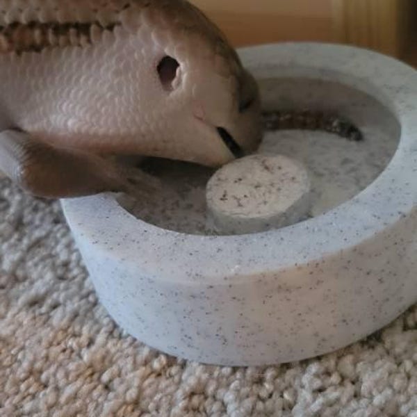 Leopard Gecko Hide, Moist Hide Lay Box, and Feeding Station - Etsy